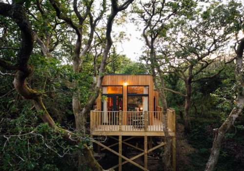 simba tree house