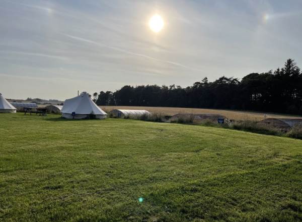 Doxford Farm Camping | Availability