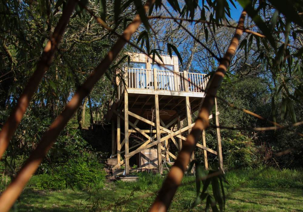 simba tree house