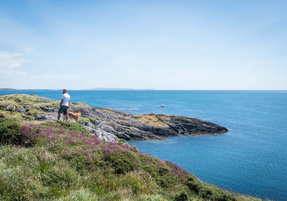 Goleen Harbour | Rock Bell Tent