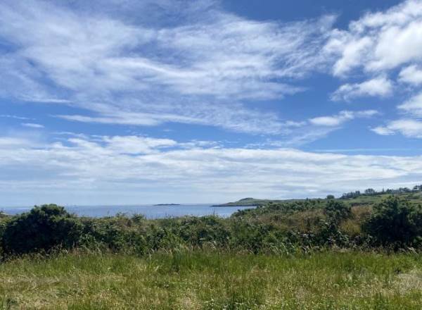 Goleen Harbour | Availability